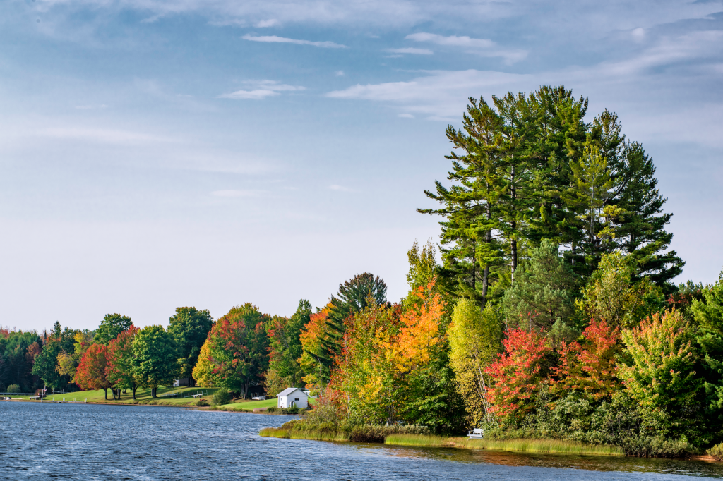 Leroy, MI - Coldwell Banker Great Lakes
